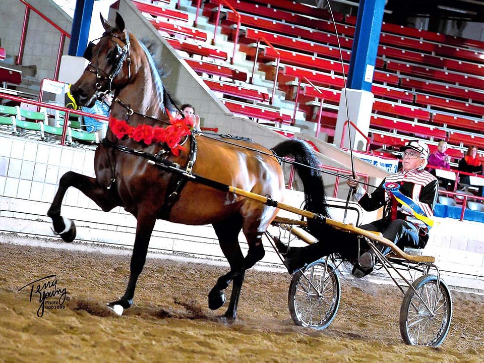 Parker Wheels & Hubs | Home